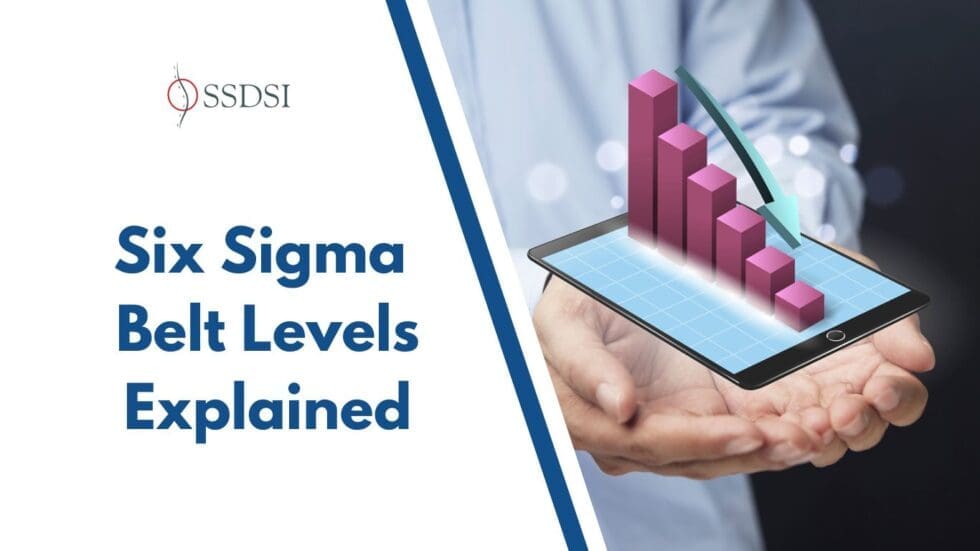 What are Six Sigma Belt Levels? Explained in Detail