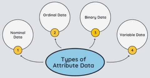 Attribute Data in Statistics: Types and Example - SSDSI