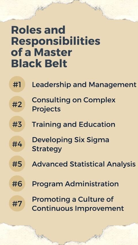 Lean Six Sigma Master Black Belt Explained Simply