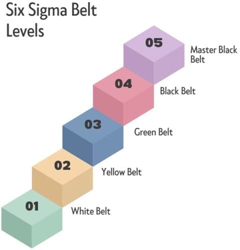 Lean Six Sigma Master Black Belt Explained Simply