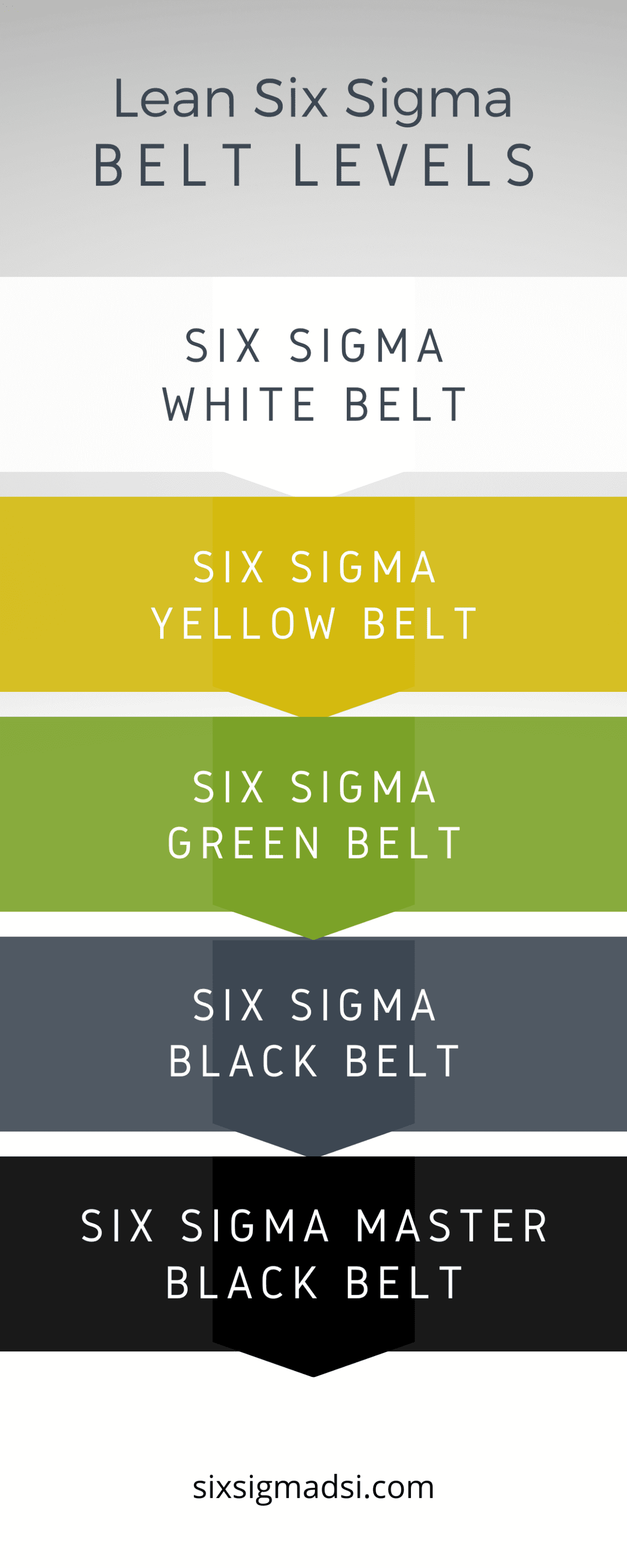 What Is a Lean Six Sigma Champion?