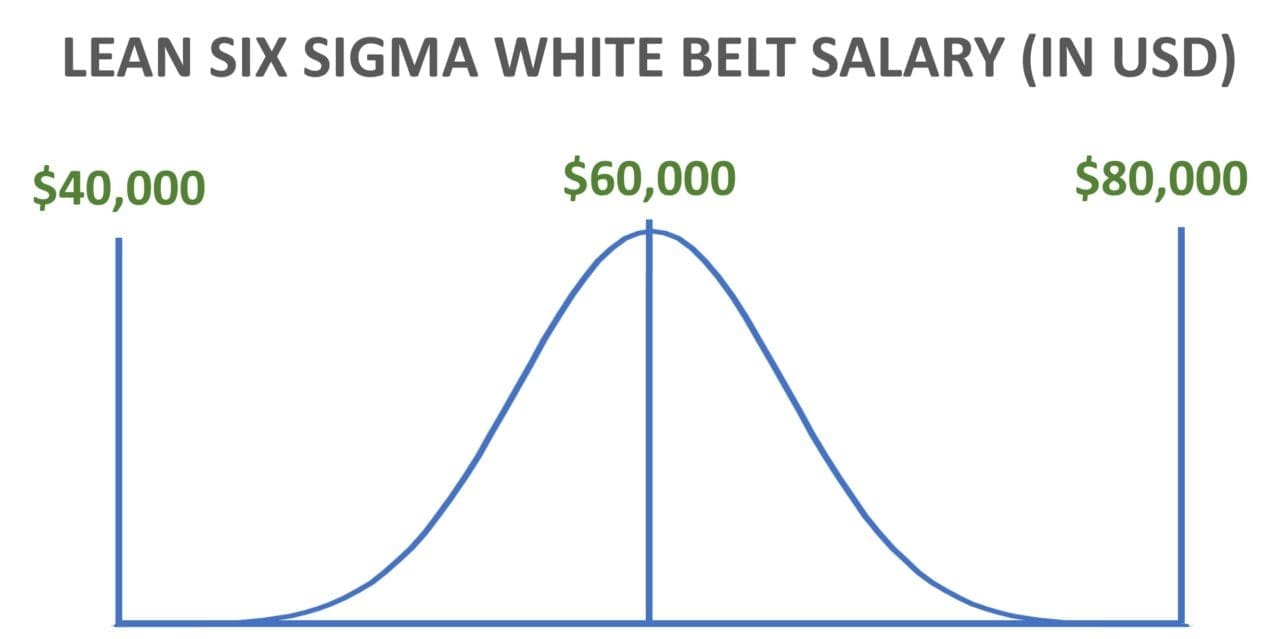 What is a Six Sigma White Belt?
