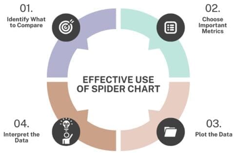 What Is a Spider Chart and How It Improves Data Analysis?